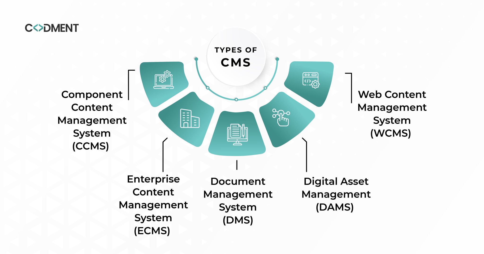 CMS: Types and Benefits – A Comprehensive Overview